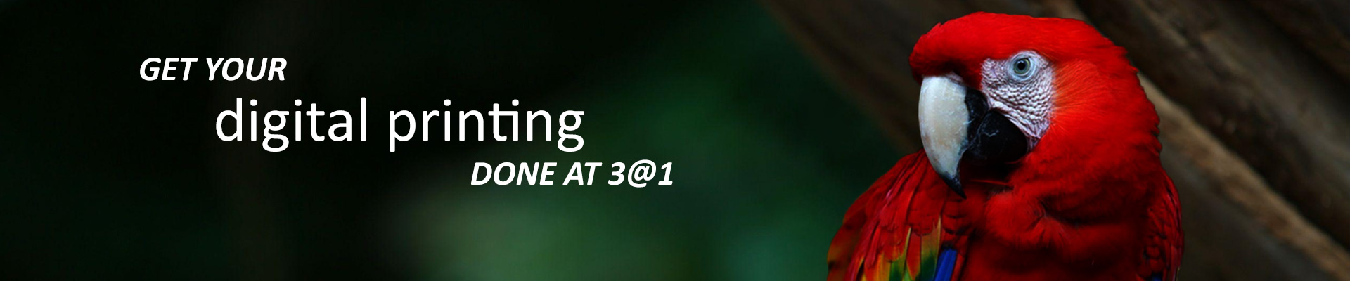 3@1 N1 City Mall - One-stop destination for printing and courier ...